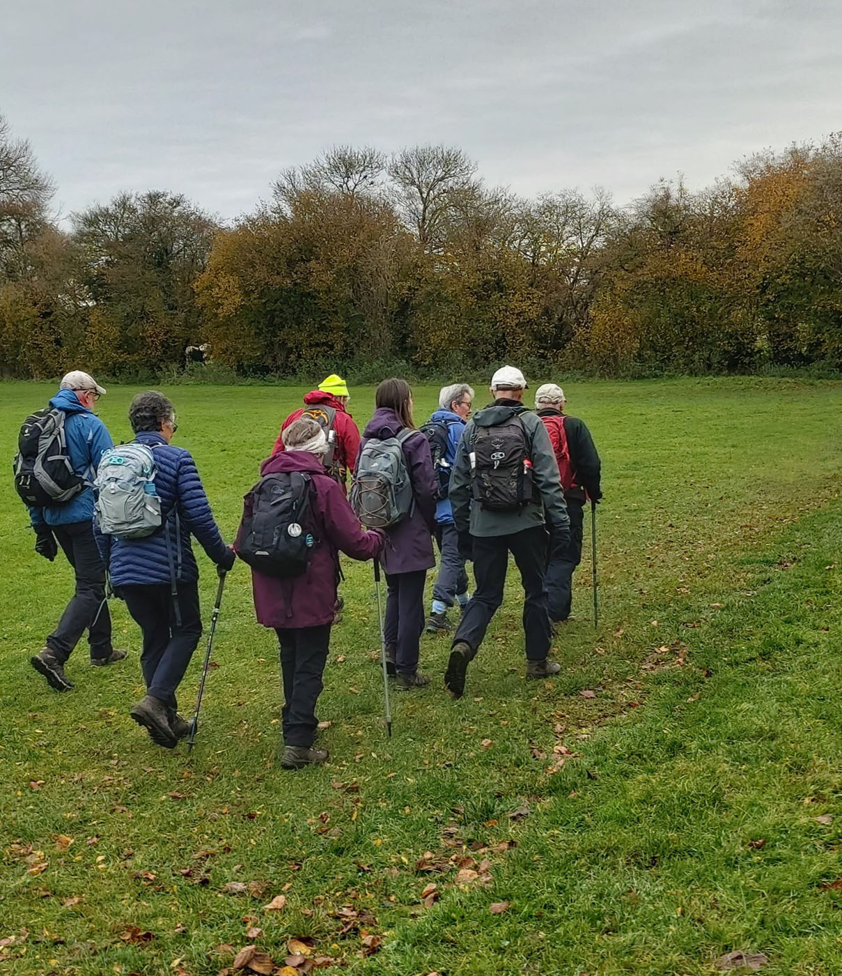 22 November 2023 | Petersfield Ramblers